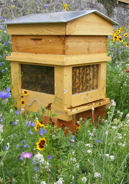 Déclaration annuelle de ruches : Du 1er septembre au 31 décembre ...